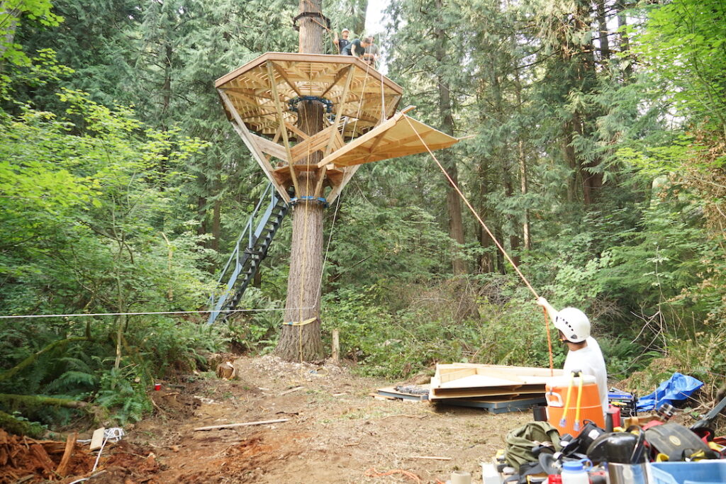 Tree House Remodel – Summer Camp – Sawhorse Revolution