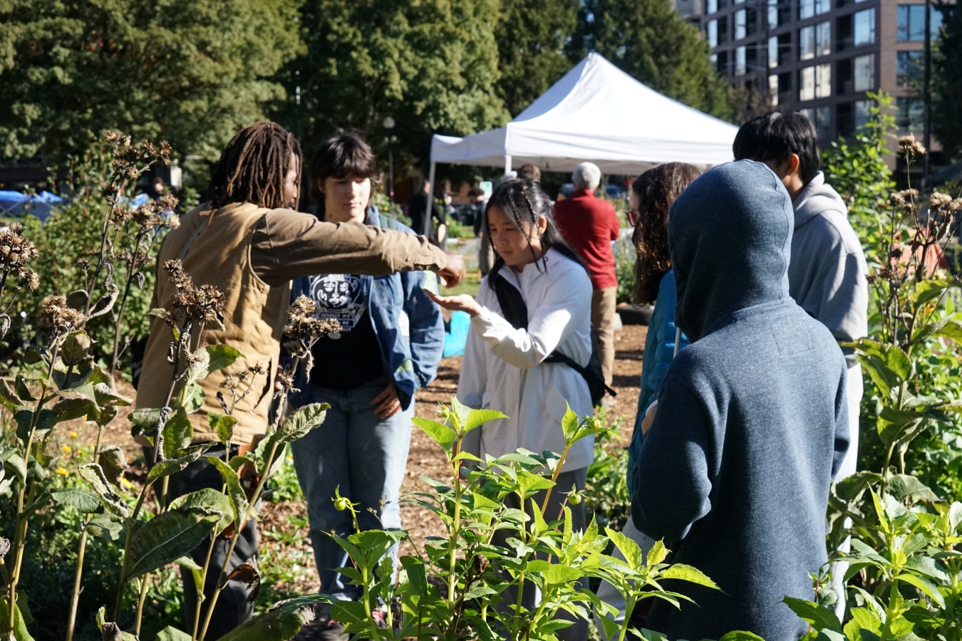 Projects – Sawhorse Revolution